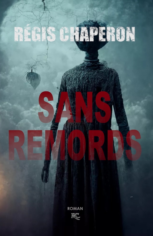Avis Lecture [Roman ; SP] Sans Remords - Neko'Antre